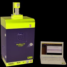 Easy, Efficient and Economical Gel Documentation with the GelDoc-Ite ...