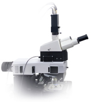 WITec Launches StrobeLock for Time-resolved Measurements | Labcompare.com