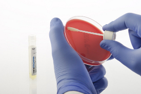 TransPRO™: a Multi-purpose Bacterial Collection and Transport System ...