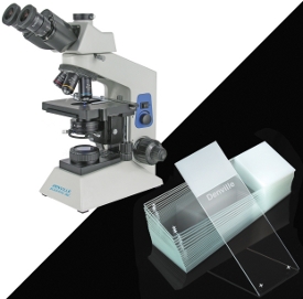 NEW Microscopes & Slides | Labcompare.com