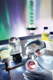 Maximum Safety in Microbiological Quality Control | Labcompare.com