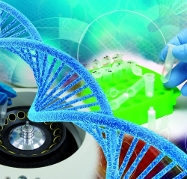 ChIP Enzymatic Shearing Kit | Labcompare.com