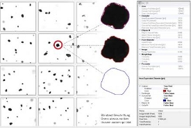 ANALYSETTE 28 for Measurement of Particle Shape and Size with Dynamic Image Analysis ...