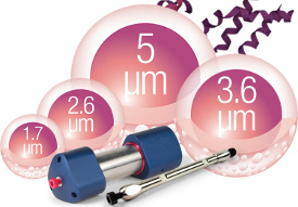 Phenomenex Expands Aeris® PEPTIDE Core-Shell Column Line to Include a 5 ...