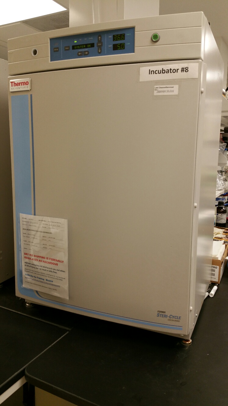 | Labcompare Product Review. Reliable Incubator for Your Cell Culture ...