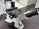 | Labcompare Product Review. Inverted Microscope for Cell Culture ...