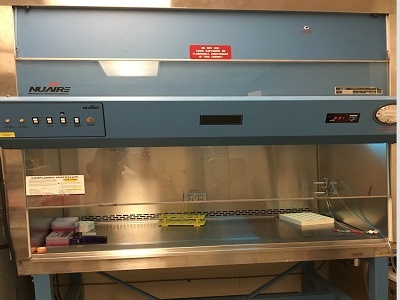 | Labcompare Product Review. NuAire Biological Safety Cabinet Class II ...