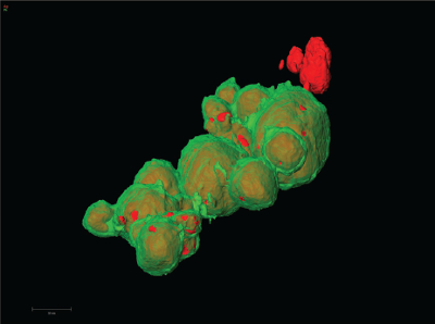 S/TEM Platforms | Labcompare.com