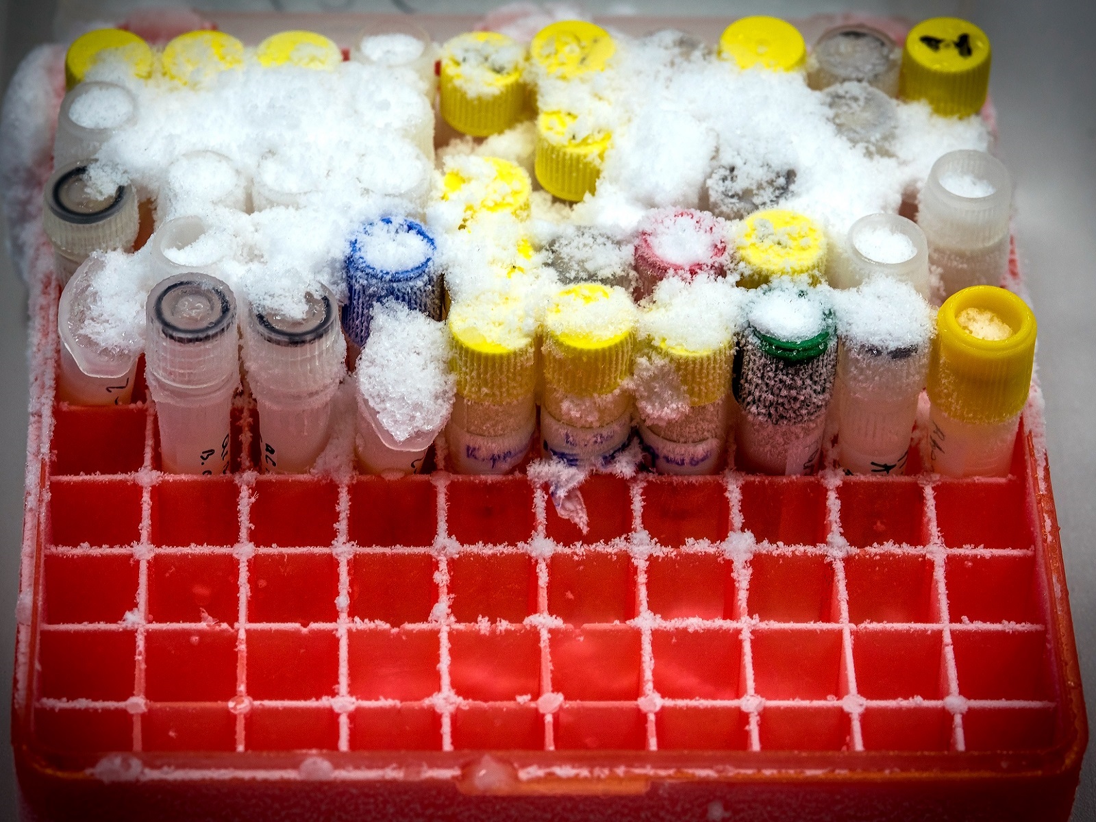 Maximizing Ultralow-Temperature Freezer Performance | Labcompare