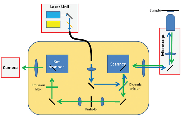 A Redesigned Confocal Microscope for Super-Resolution Microscopy ...