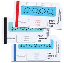 GE Healthcare launches Indicating FTA™ DMPK Cards for colorless ...