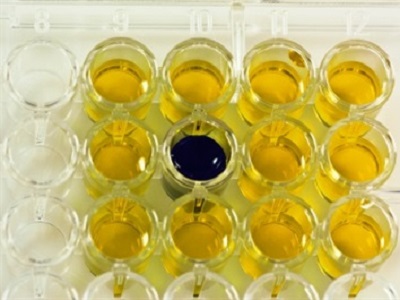 SPECTRO Lab Intelligence Sponsor Showcase from SPECTRO Analytical ...