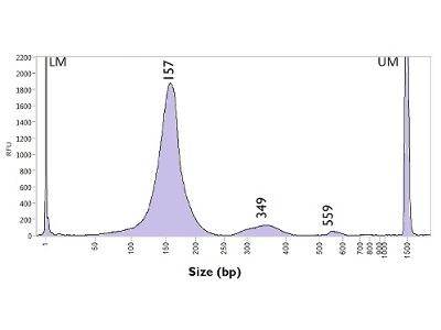 High-Throughput Capillary Electrophoresis: The Key to Streamlined ...