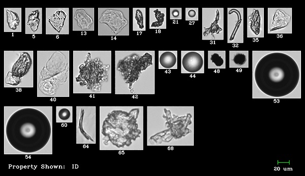 Detection of Subvisible Particulates in Bioformulations to Ensure ...