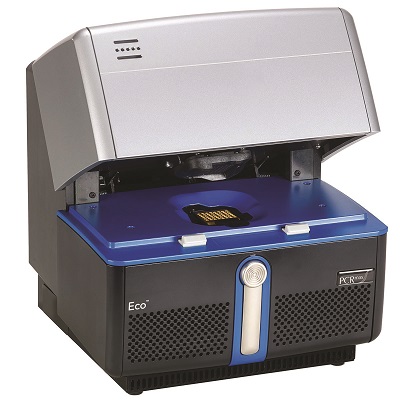 qPCR Provides Ability to Observe Quantitative Replication of DNA in ...