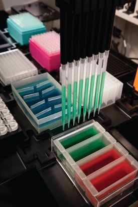 Beckman Coulter Biomek P1000 Span-8 Pipette Tips Optimize Large Volume ...