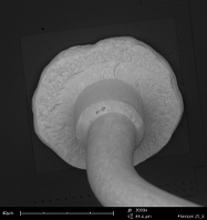 Phenom-World is launching the Motorized Tilt & Rotation Sample Holder ...