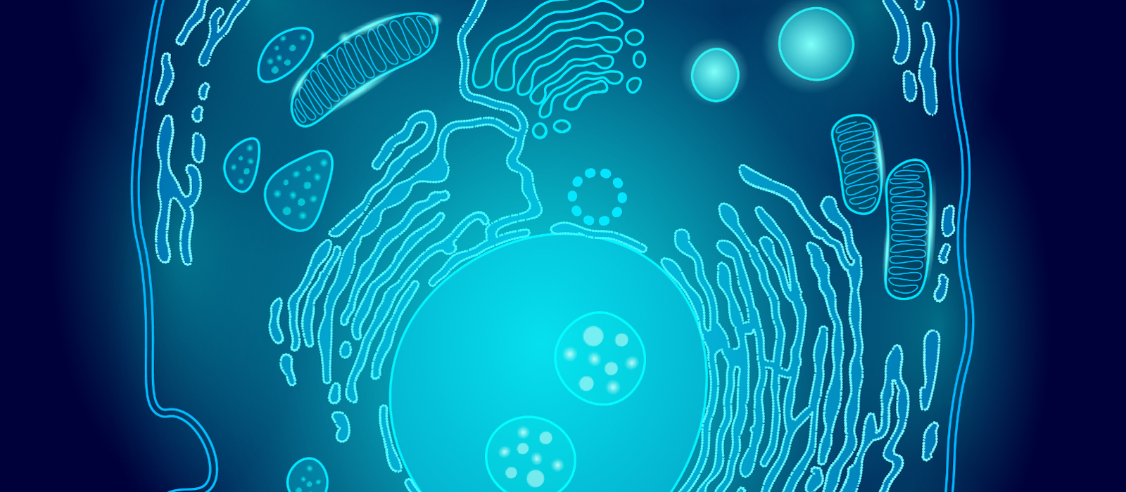 Unlocking the Cell’s Secrets with 3D Imaging | Labcompare