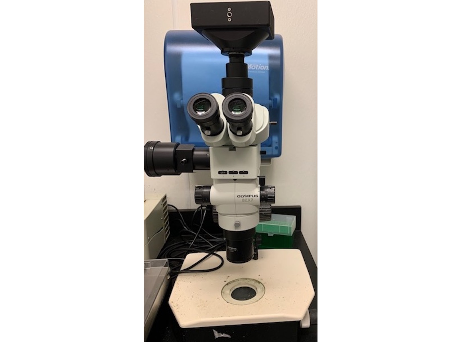 | Labcompare Product Review. Fluorescence Microscope for Transformation Experiment | Labcompare.com