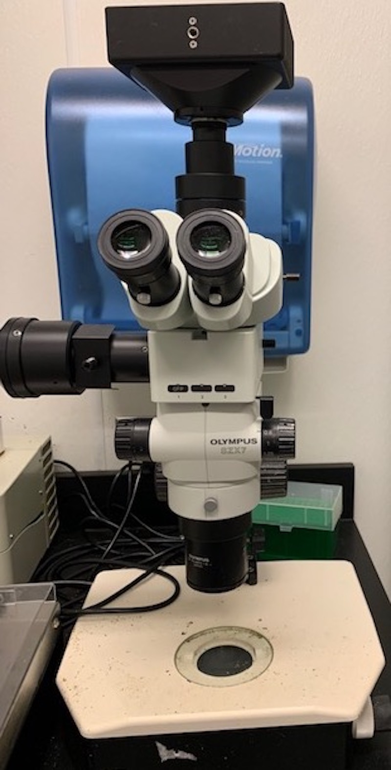 | Labcompare Product Review. Fluorescence Microscope for Transformation Experiment | Labcompare.com
