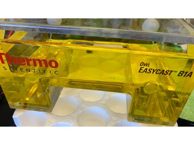 | Labcompare Product Review. A Mini Gel Electrophoresis System for Size ...