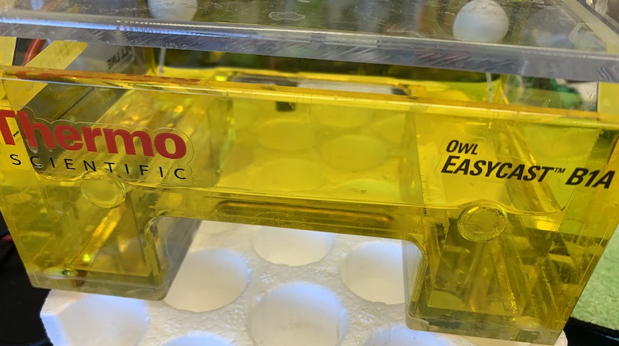 | Labcompare Product Review. A Mini Gel Electrophoresis System for Size ...