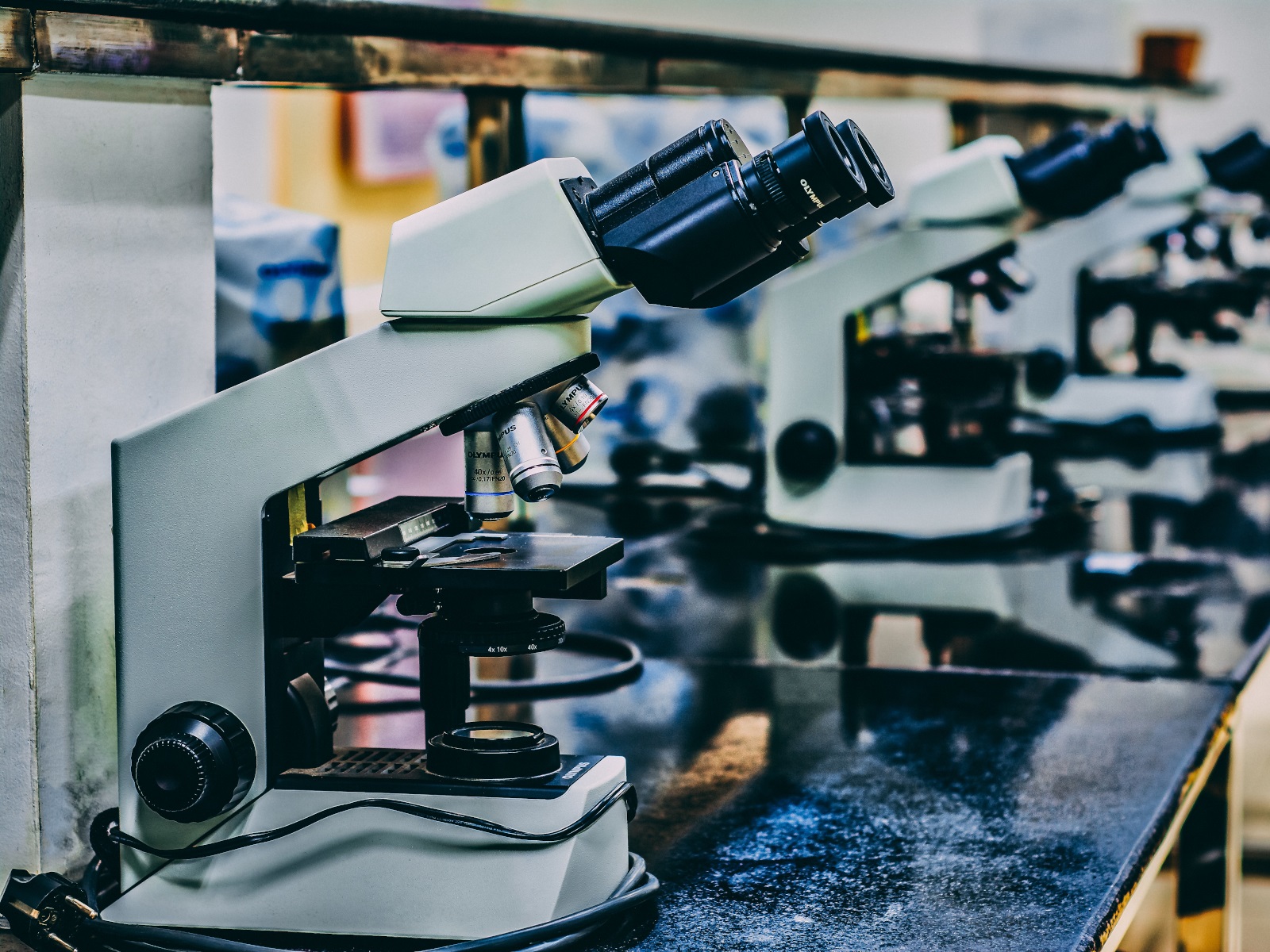 Anatomy Of The Microscope The Concept Of Magnification Labcompare