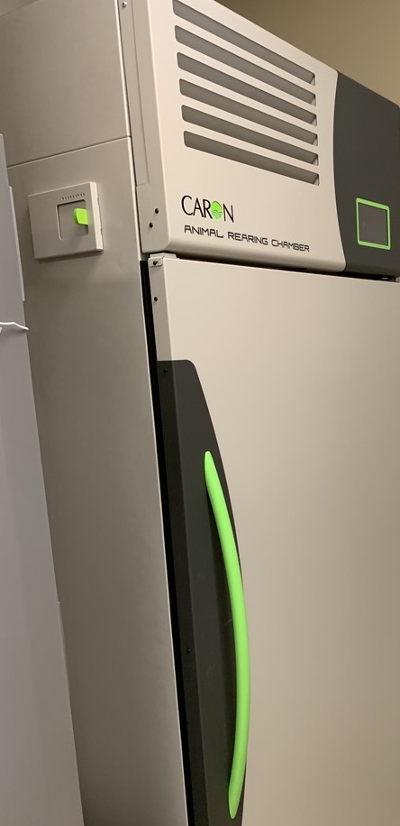 | Labcompare Product Review. Caron Rearing Chamber for Healthy Growth ...