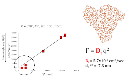 Optimizing DLS Measurements for Protein Characterization | Labcompare.com
