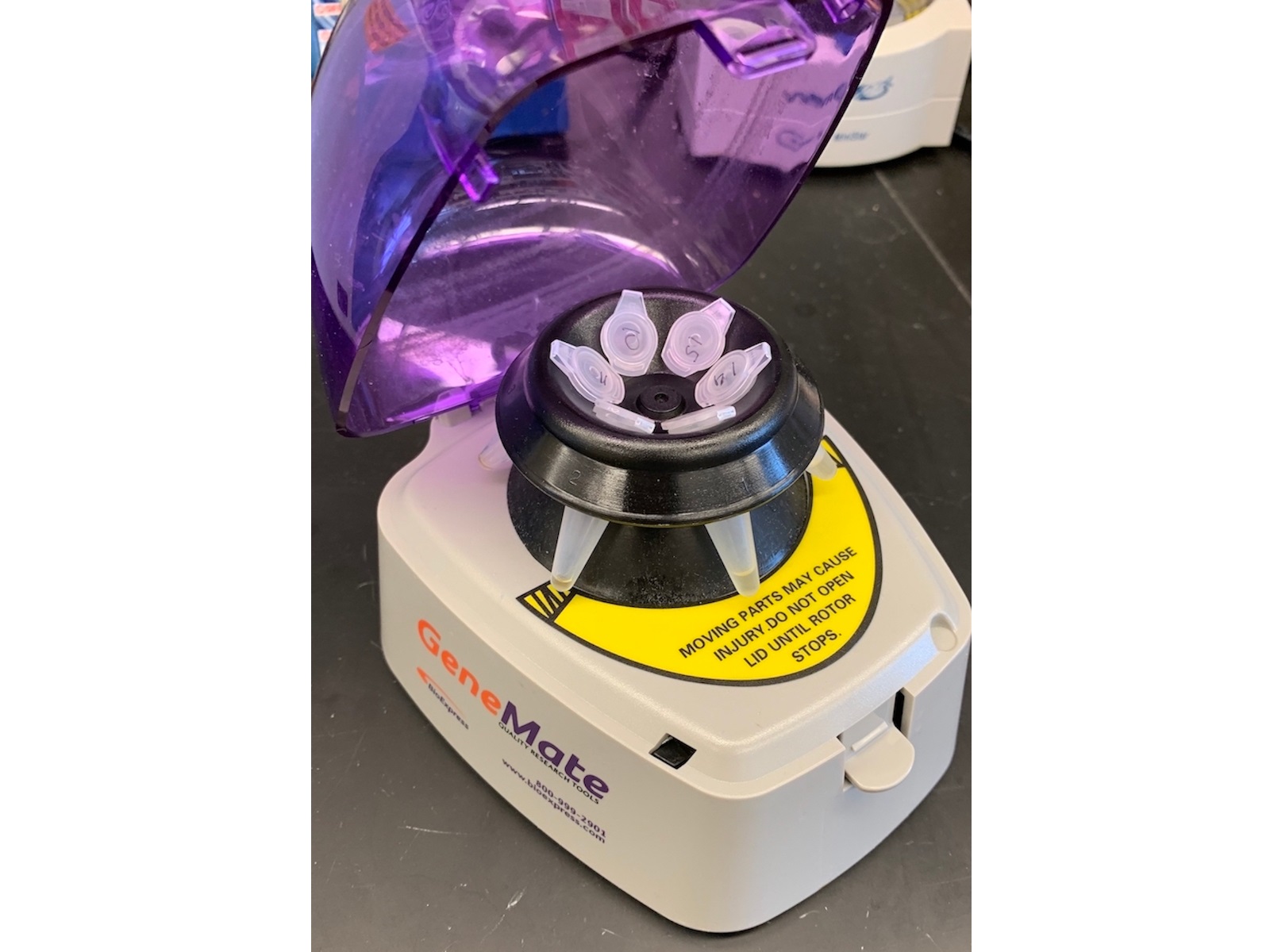 | Labcompare Product Review. An Inexpensive, Small, Quick and Effective ...