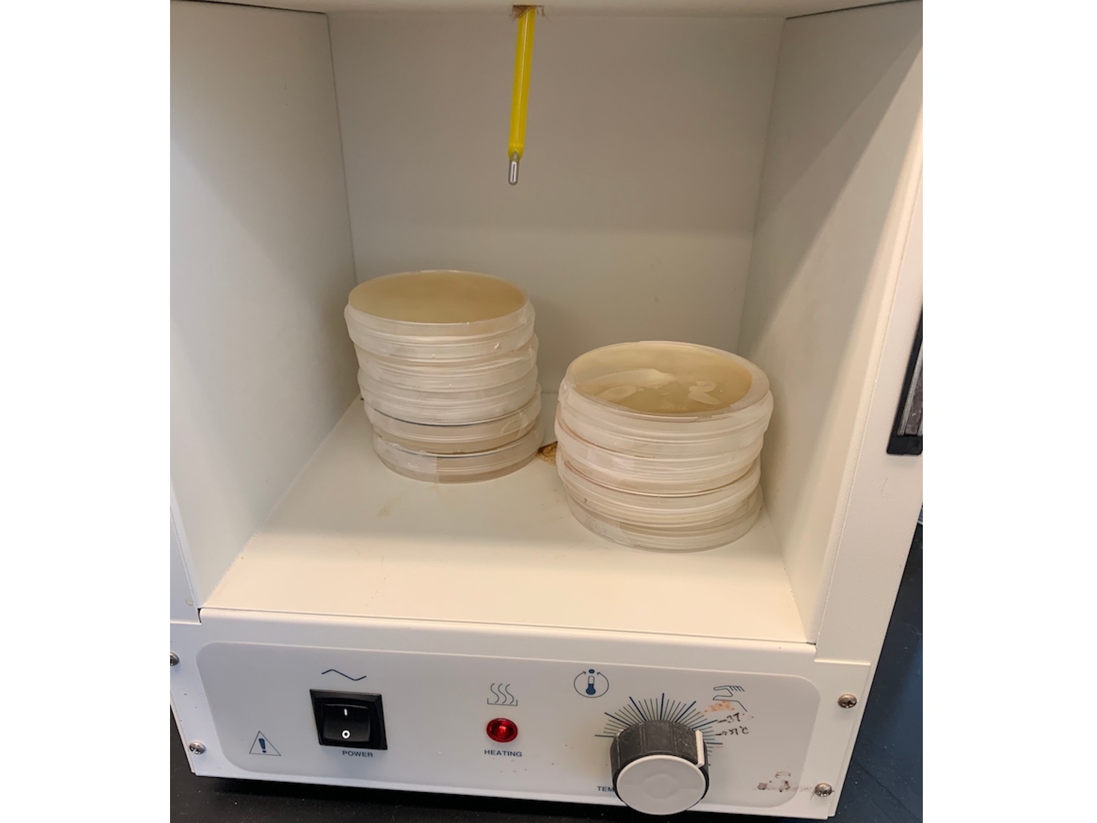 | Labcompare Product Review. Mini Growth Chamber with Great ...