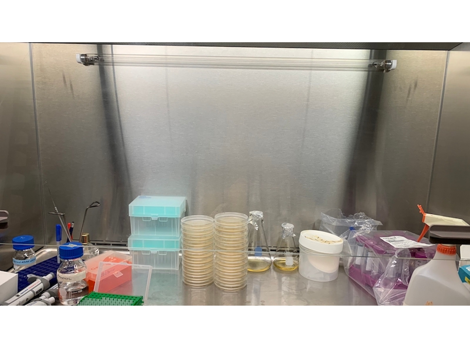 | Labcompare Product Review. Enclosure for PCR Reactions | Labcompare.com