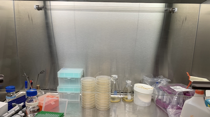 | Labcompare Product Review. Enclosure for PCR Reactions | Labcompare.com