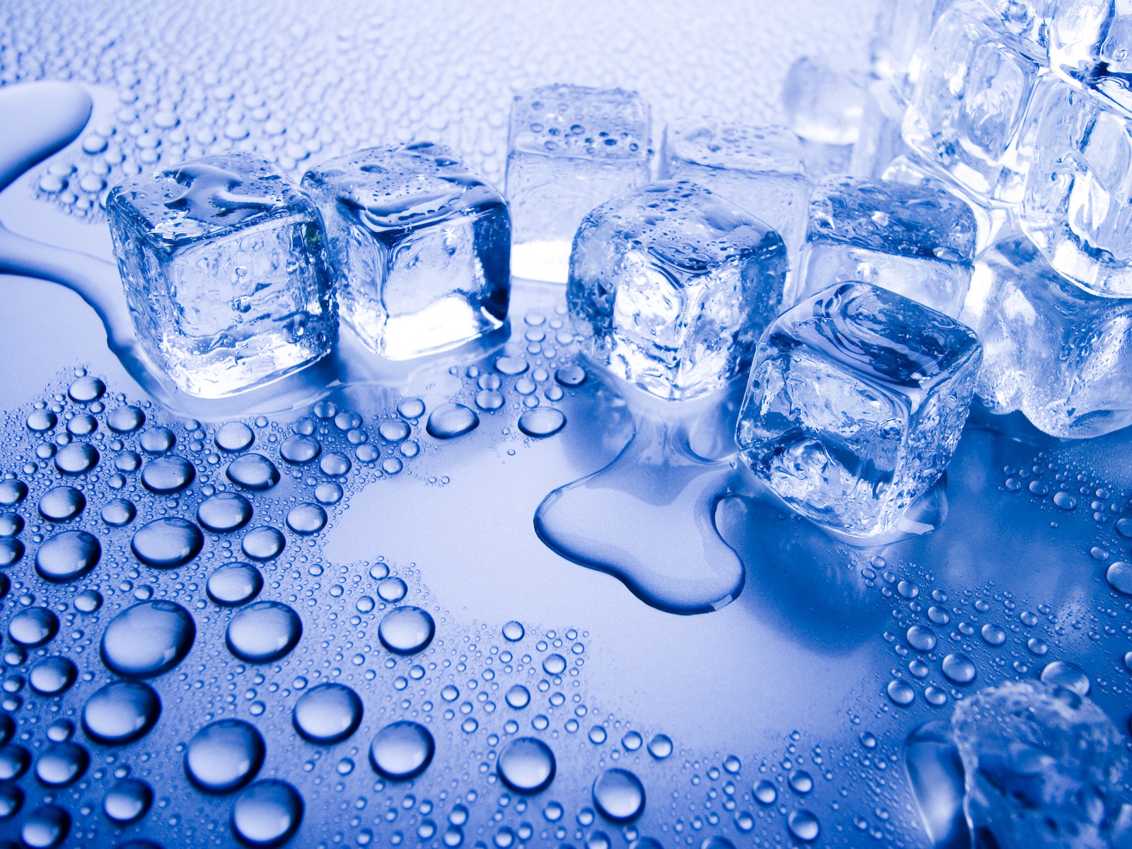 Energy Star Label Adorns BINDER Ultra-Low Temperature Freezers ...