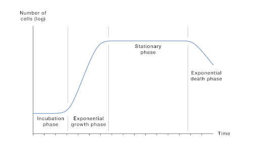 Optimizing Growth Conditions for Sensitive Cell Cultures | Labcompare.com