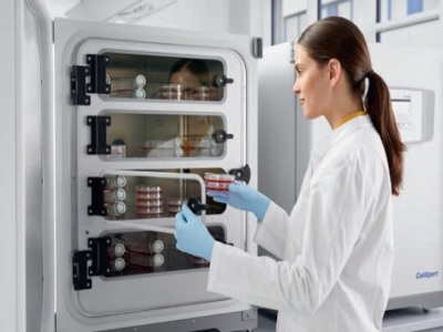 CO2 Incubators with Segmented Doors: Benefits and Buying Consideration ...