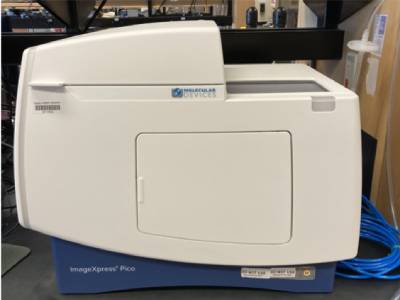 ImageXpress Pico Automated Cell Imaging System from Molecular Devices ...