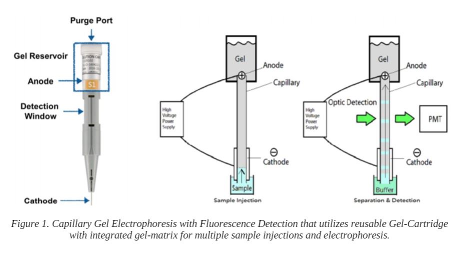 SARS-CoV-2 RNA Virus Detection from Saliva Samples | Labcompare.com