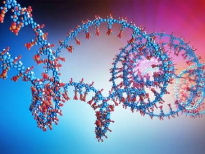 New Method for High-yield Production of Pure RNA | Labcompare.com