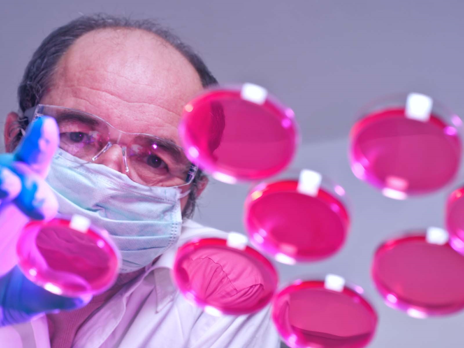 The Art of Cell Culture Cultivation | Labcompare