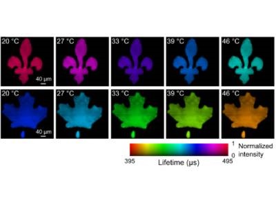 Capturing Temperature in a Single Snapshot | American Laboratory
