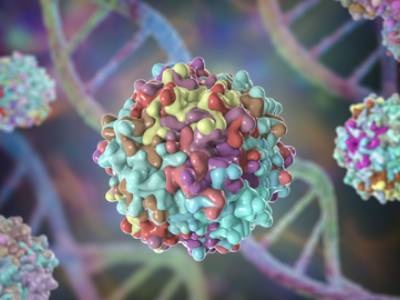 Adeno-Associated Viruses: Considerations for Upstream Process ...