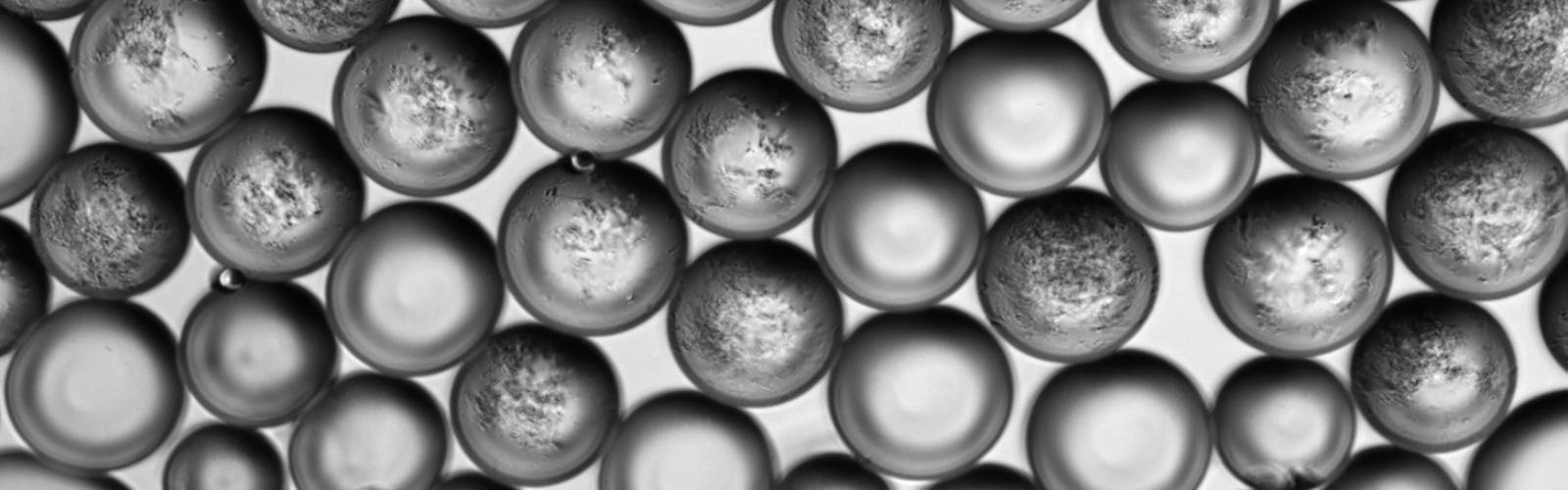 Uniform Amplification of Phage Libraries Using Microfluidic Technology ...