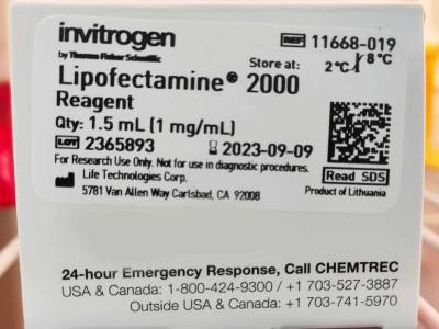 Labcompare Product Review. Lipofectamine for Transfecting Plasmid DNA in Cell Lines and Primary ...