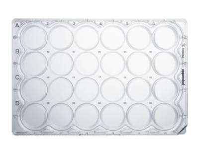 Eppendorf Cell Culture Plates from Eppendorf North America | Labcompare.com