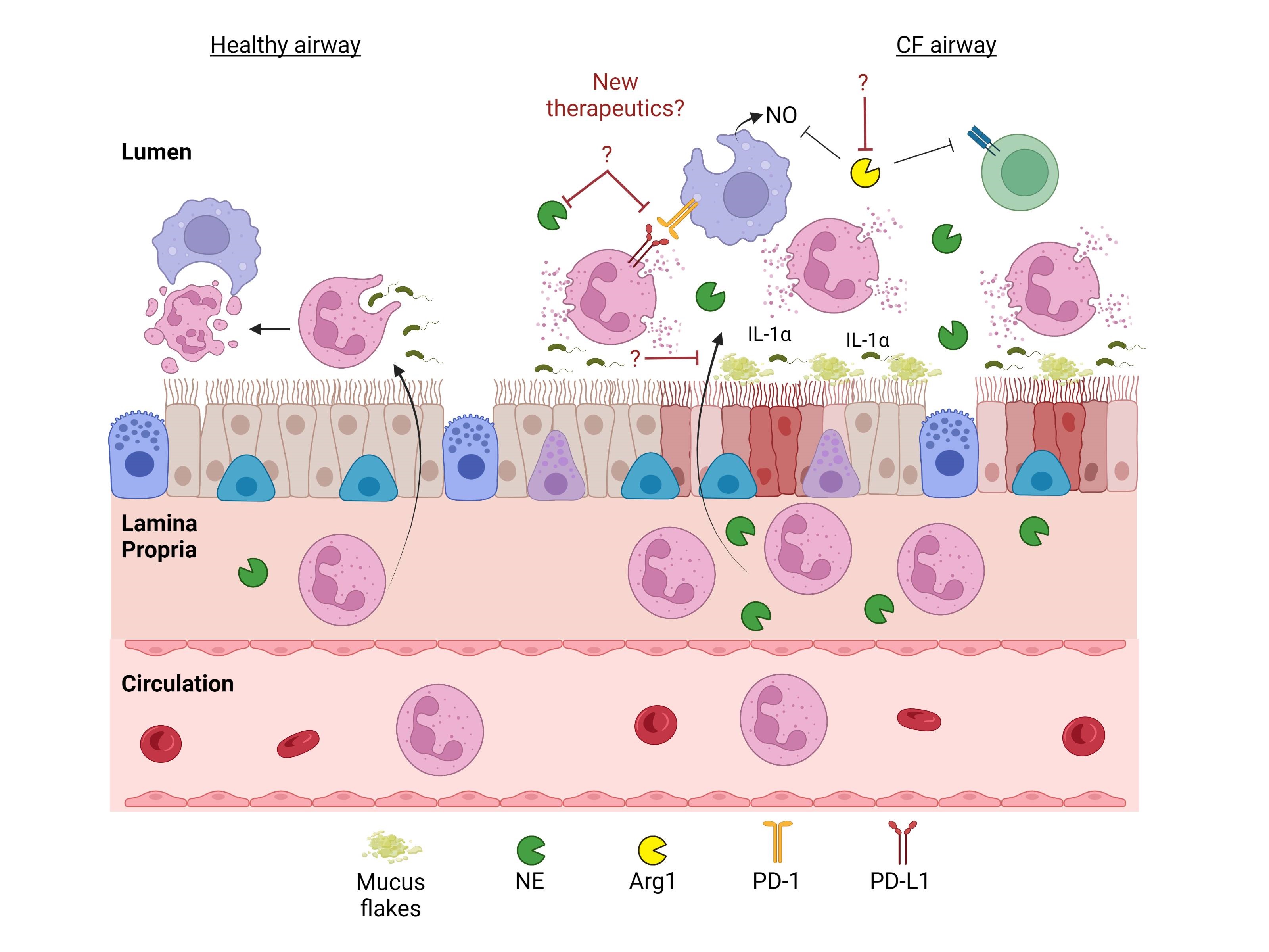| Labcompare Product Review. Professional-grade and Easy to Use Figure Design Program ...