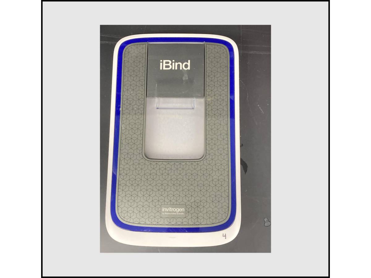 | Labcompare Product Review. Rapid Western Blotting Apparatus ...