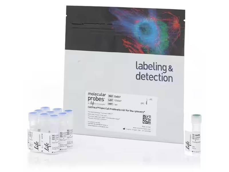 | Labcompare Product Review. Efficient Way to Measure Cell Proliferation | Labcompare.com