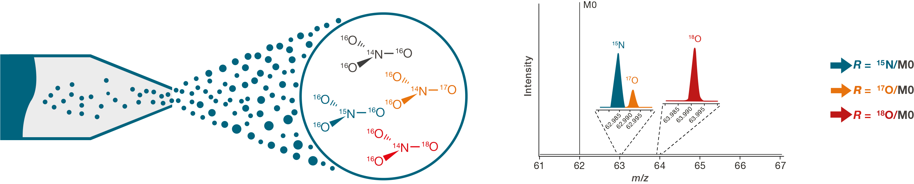 New Dimensions in Isotope Ratio MS Using ESI-FT Technology | Labcompare.com
