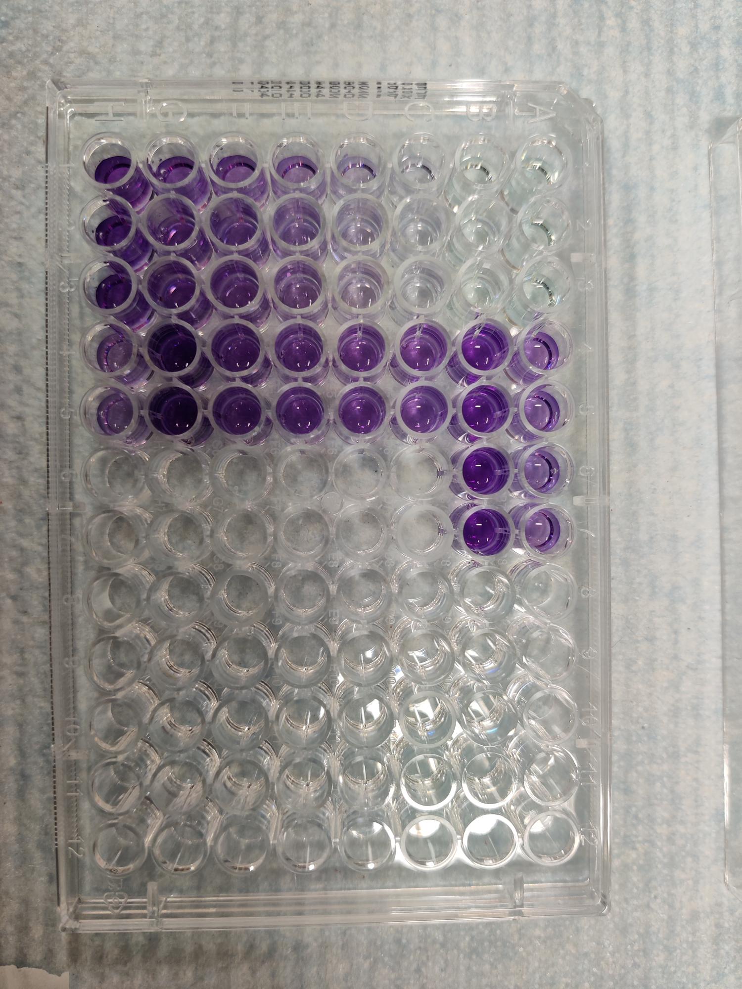 | Labcompare Product Review. Excellent Product | Labcompare.com